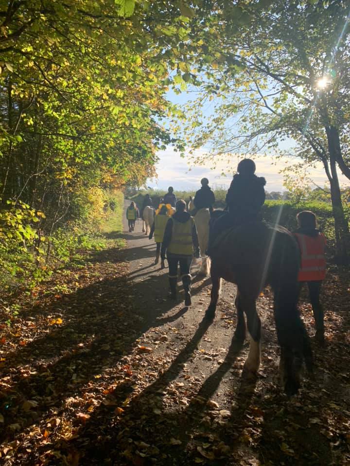 Thornton Rose RDA home page